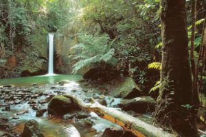 10 dicas que você precisa saber antes de ir visitar o Parque PETAR ...